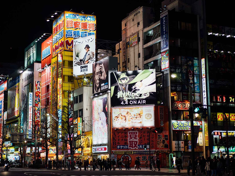 Tokyo Custom Half Day Tour - Japan Awaits