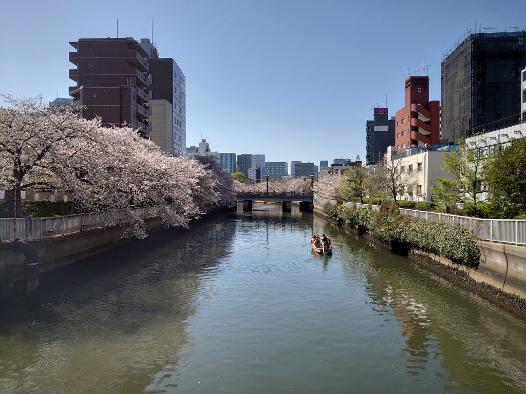 Cherry Blossom Sightseeing River Boat Experience - Japan Awaits